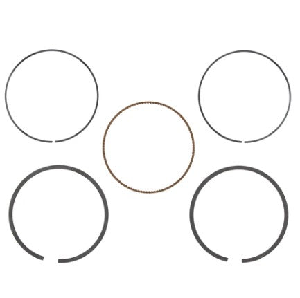 795431 Briggs & Stratton Ring Set 796641 — DR Mower Parts