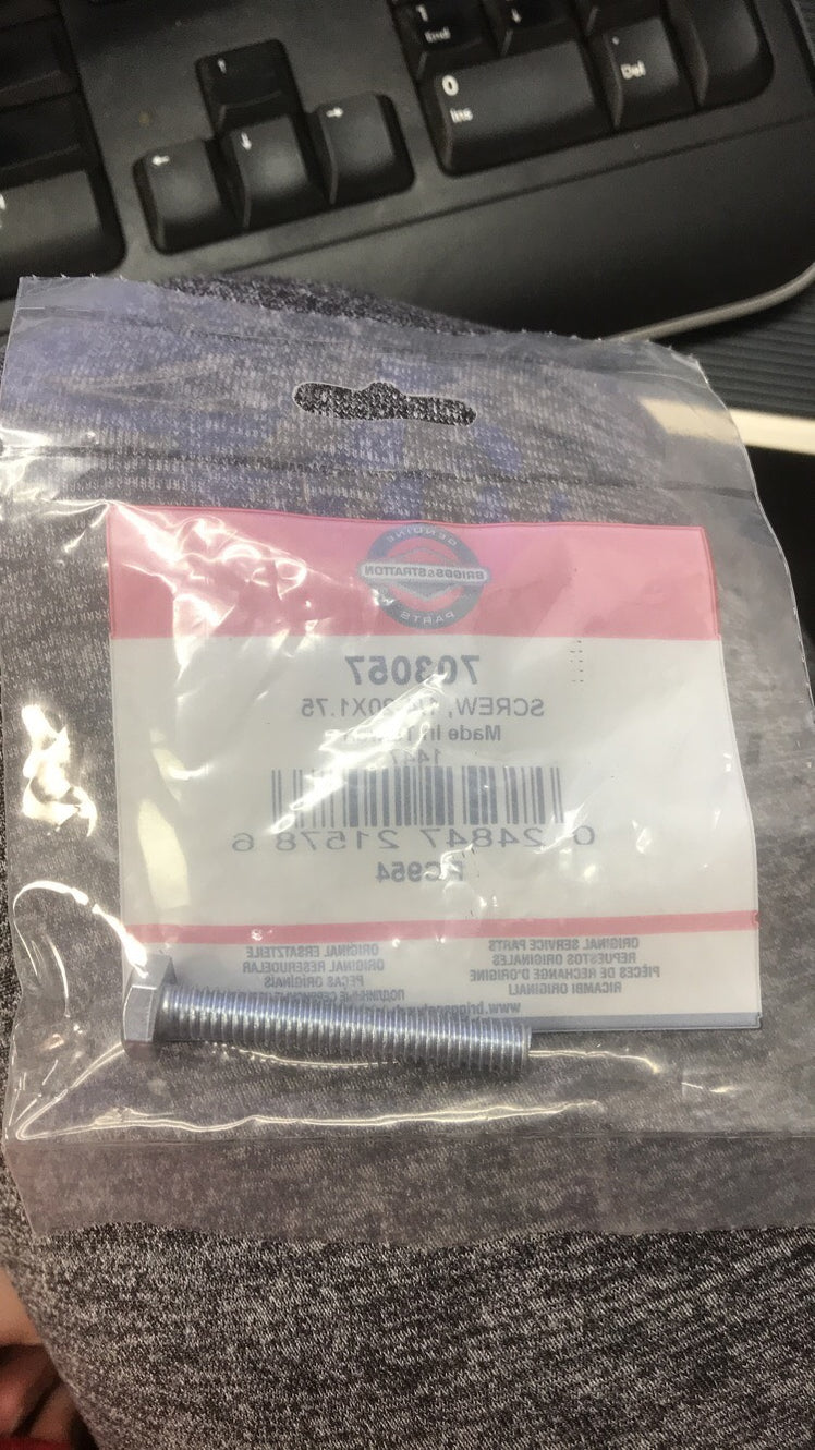 703057 Craftsman Murray Snowblower Shear Pin SCREW — DR Mower Parts